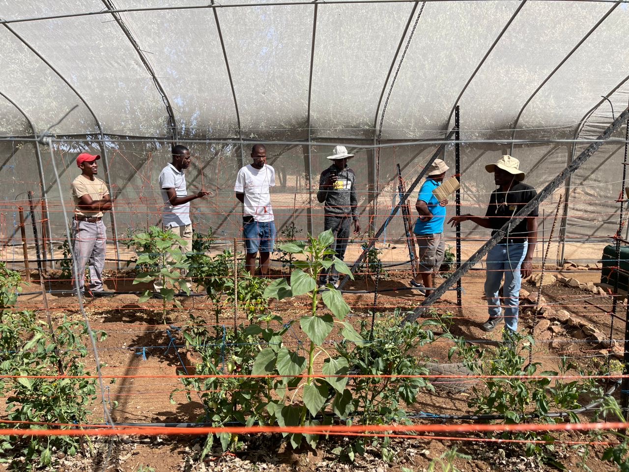 Empowering farmers and ushering in a radiant future for Namibian dairy ...