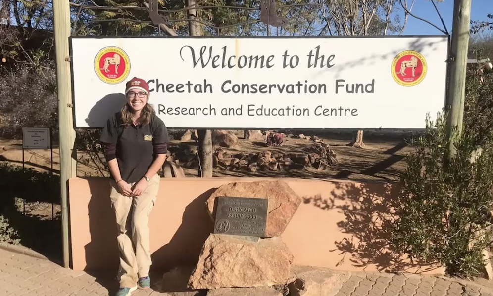 Home - Cheetah Conservation Fund Canada