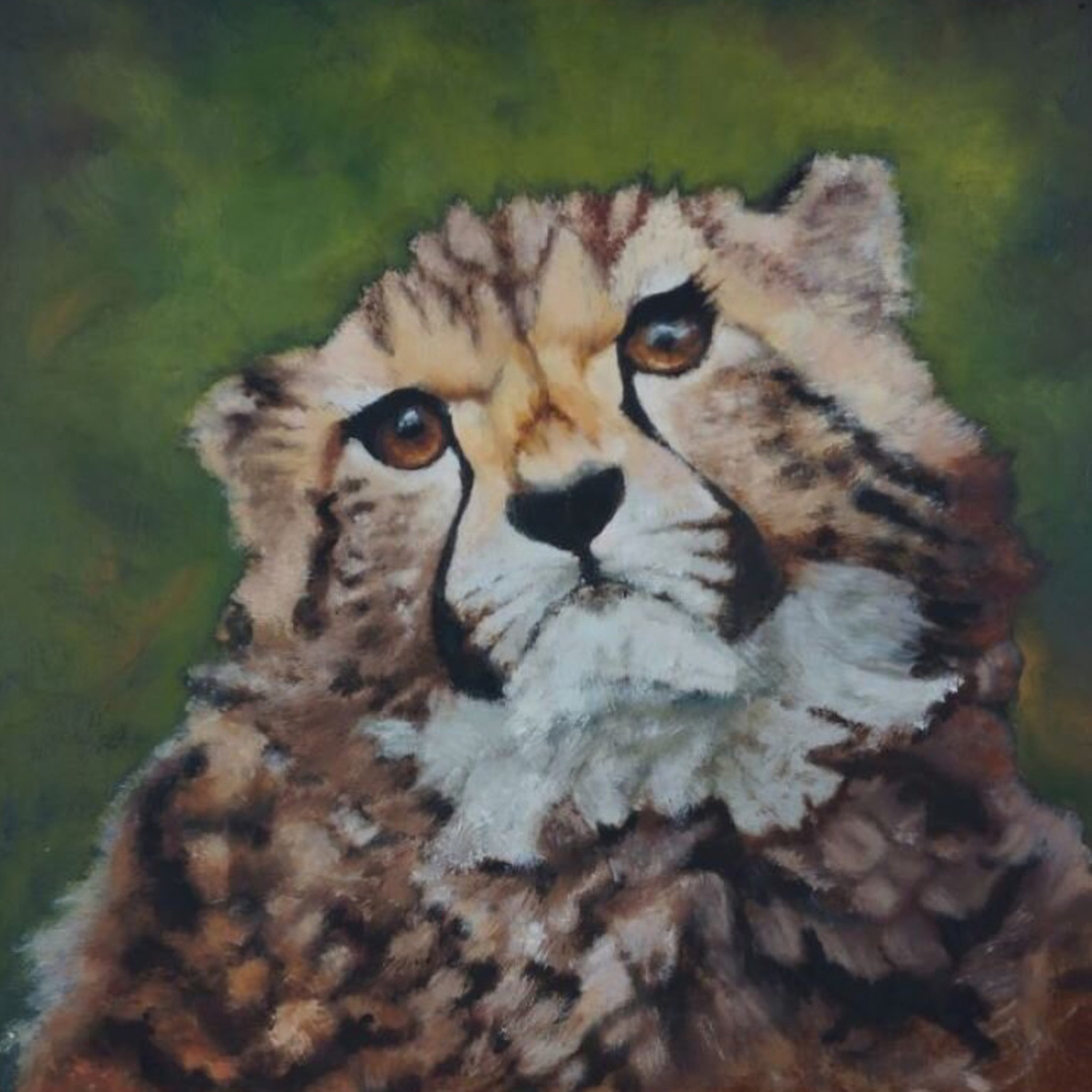 Art Meets Conservation: Penny's Exhibition Celebrates the Beauty and ...