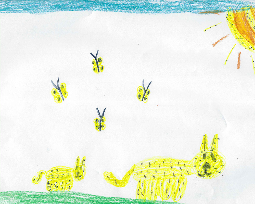 Cheetah Mom and Baby Chasing Cheetah Butterflies! • Cheetah ...