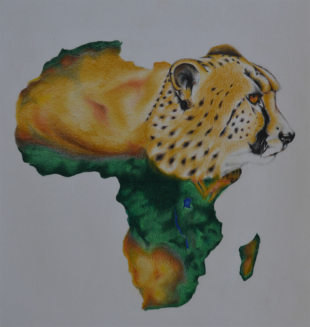 Drawing for Cheetah - Cheetah Choice Winner • Cheetah Conservation Fund
