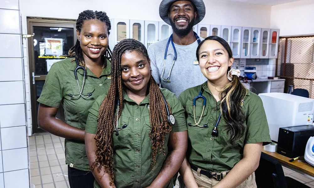Het Cheetah Conservation Fund (CCF) maakt kans op de Best of Namibia ...